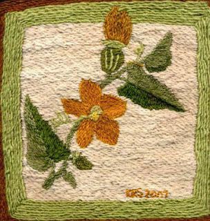 Colcha Embroidery – needlery!