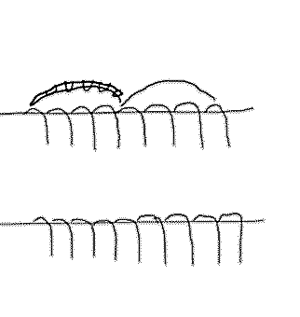 Pearl (Perle) Needlelace Edge – needlery!